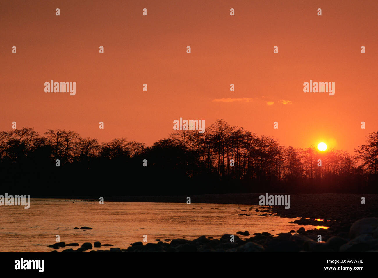 Manas River Manas National Park Bhutan Stock Photo - Alamy
