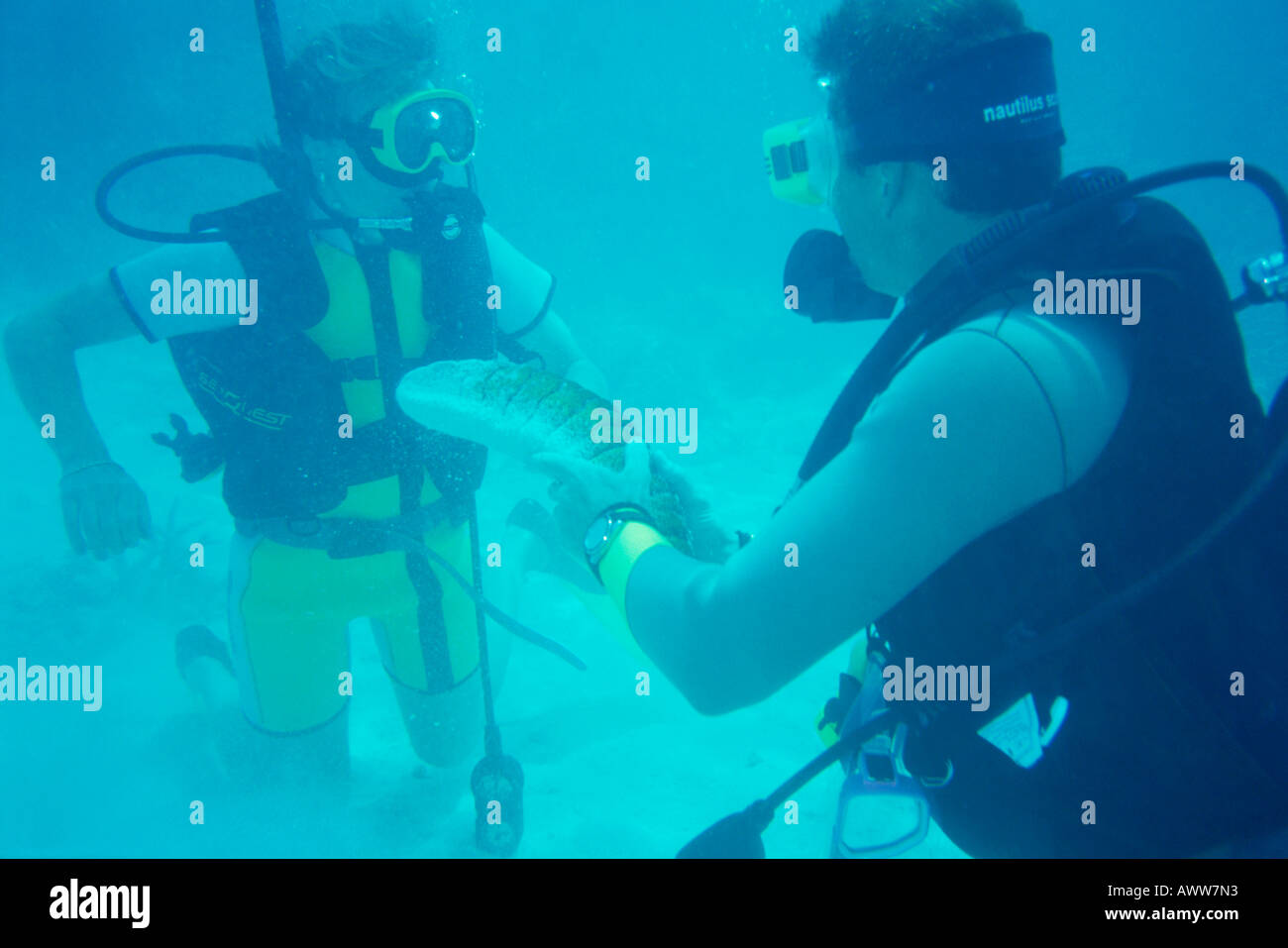 Scuba diving at Beaver Cay Great Barrier Reef a World Heritage Area ...