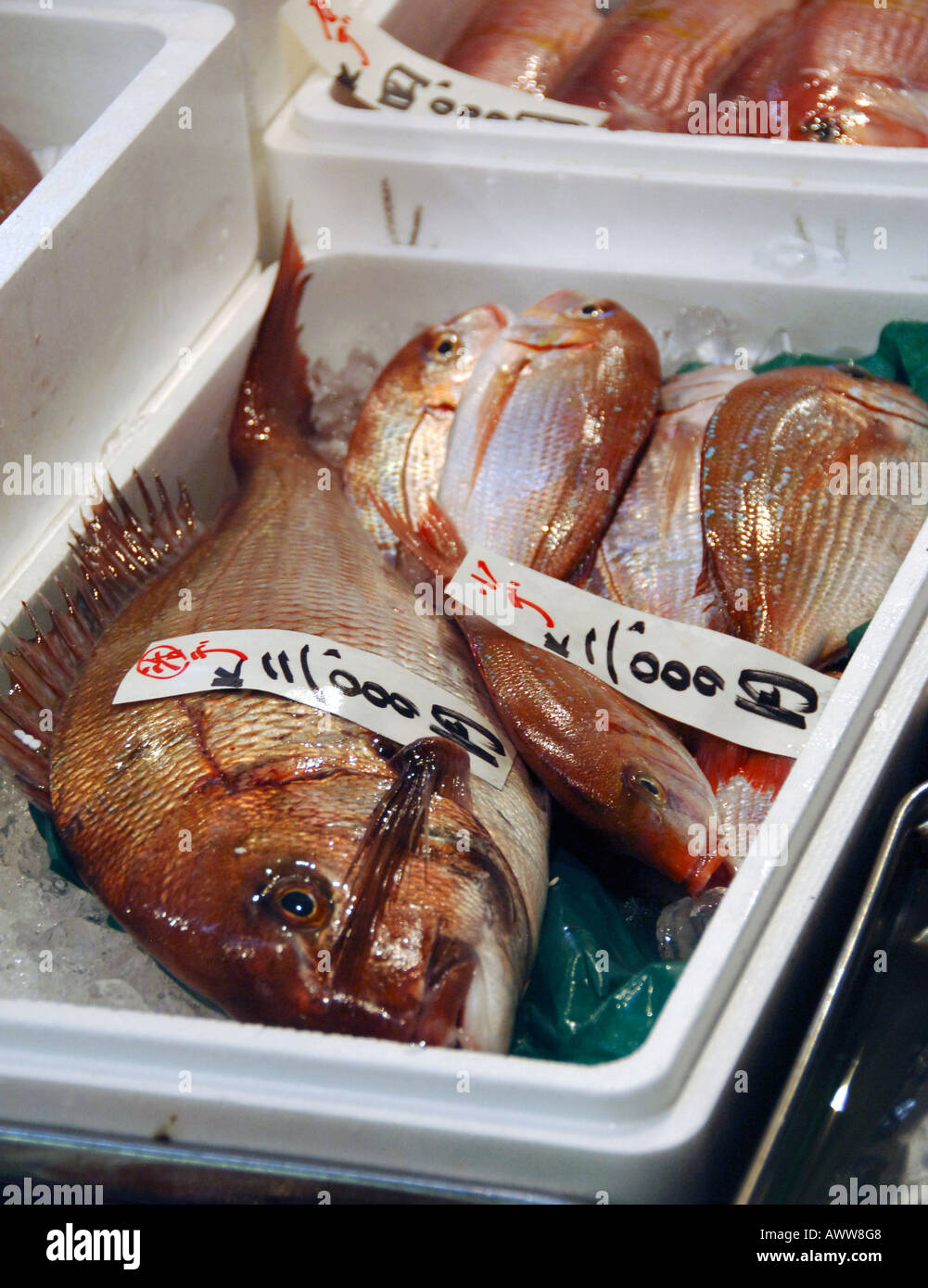 Fish on display, Japanese fish market Stock Photo - Alamy