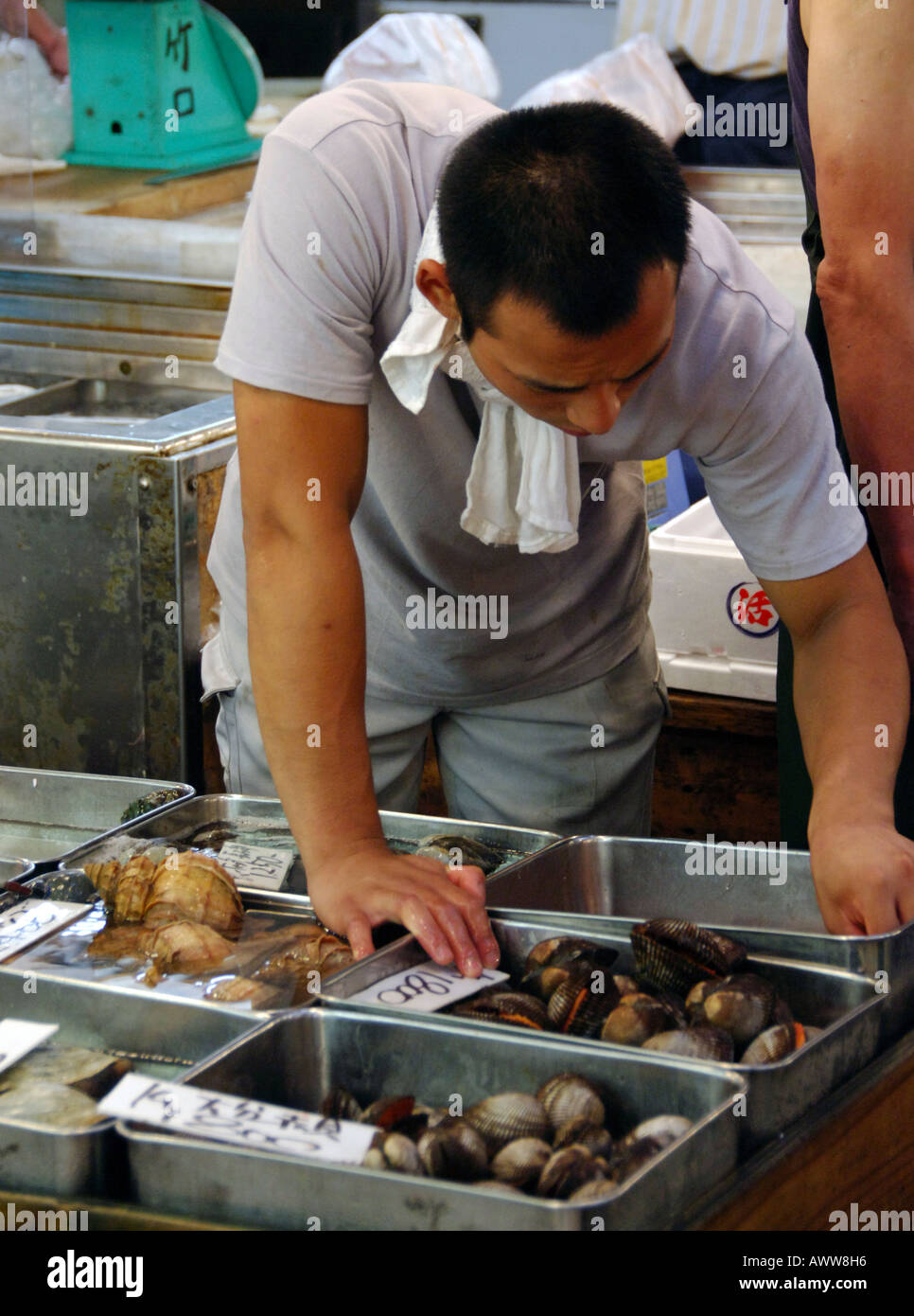 Prawn tsukiji fish market tokyo hi-res stock photography and images - Alamy