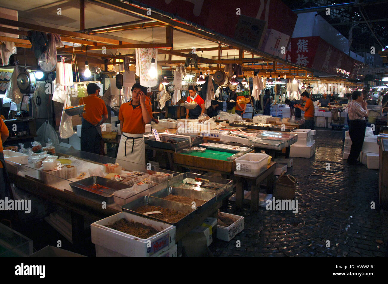 Fish on display Japanese morning fish market Tokyo Stock Photo - Alamy