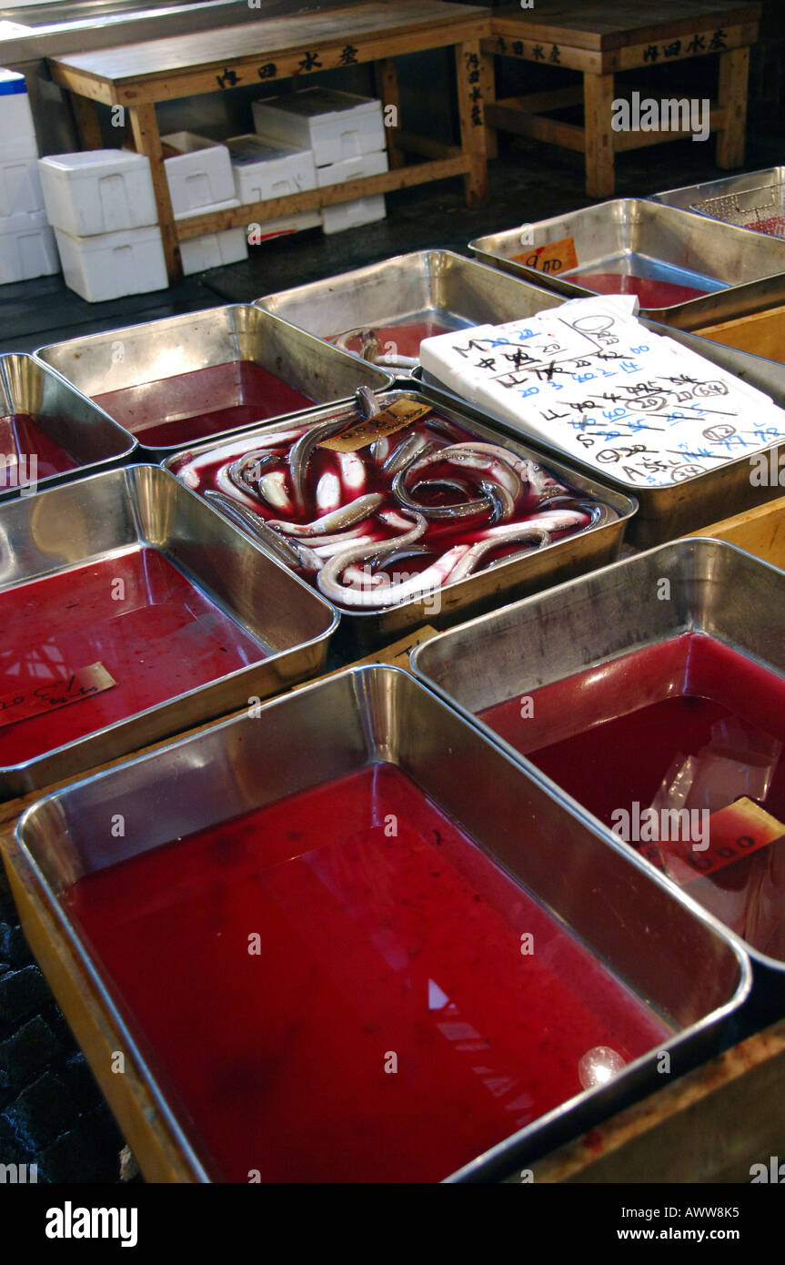 Bloody trays of fish blood, Tsukiji Fish market Tokyo Stock Photo - Alamy