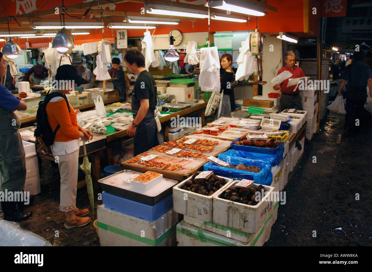 Fish on display, Tsukiji Fish market Tokyo Stock Photo - Alamy