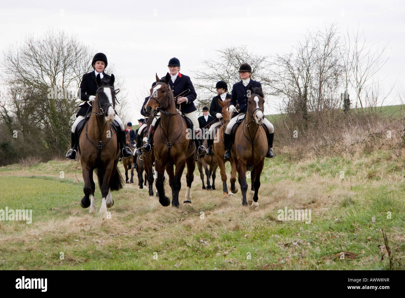 Essex fox hunting hi-res stock photography and images - Alamy