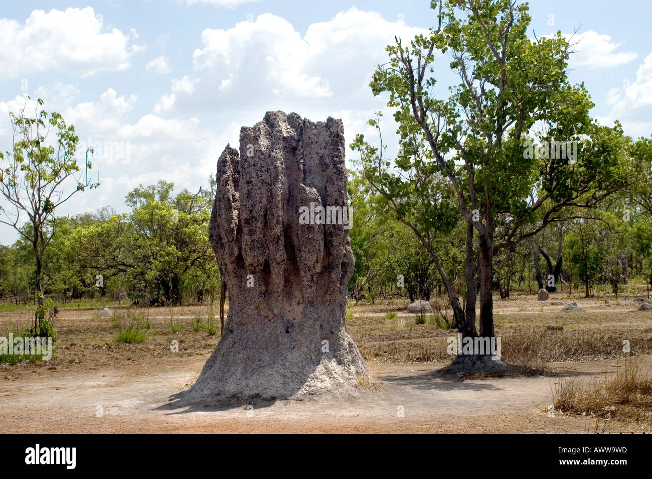 Cathedral Termite Mounds of Kakadu Stock Photo - Alamy