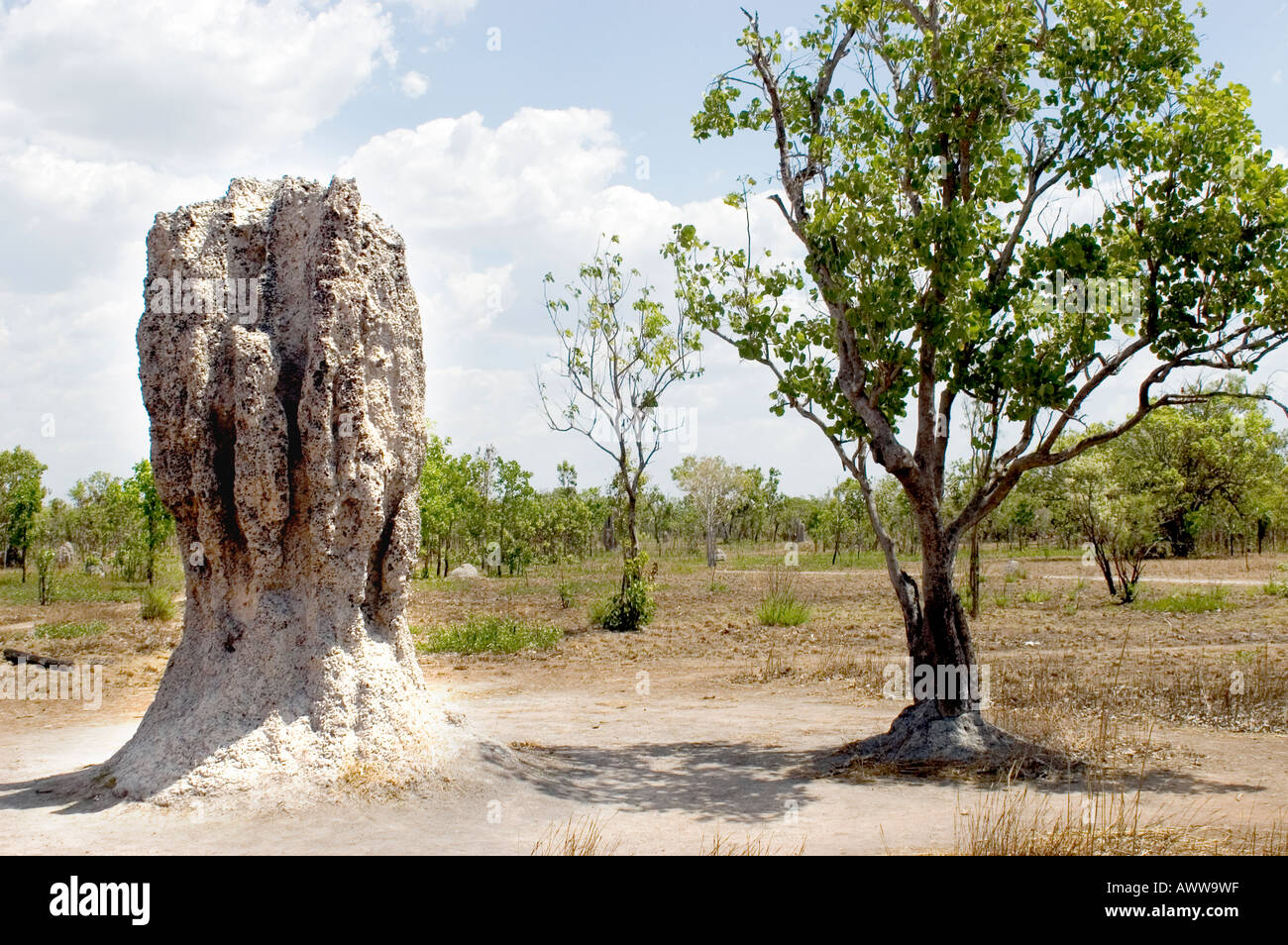 Cathedral Termite Mounds of Kakadu Stock Photo - Alamy