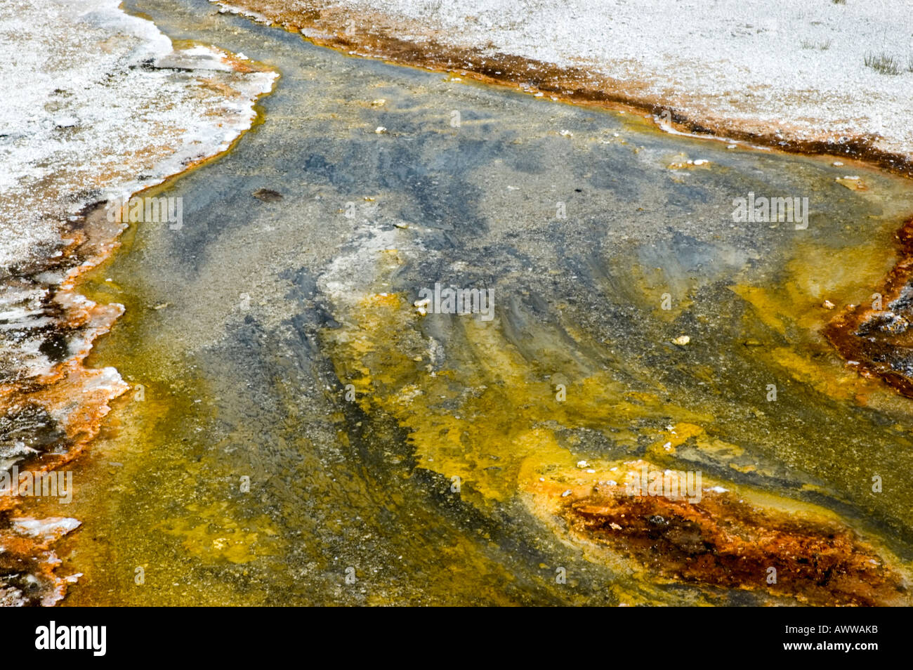 Mineral deposits Yellowstone National Park USA Stock Photo - Alamy