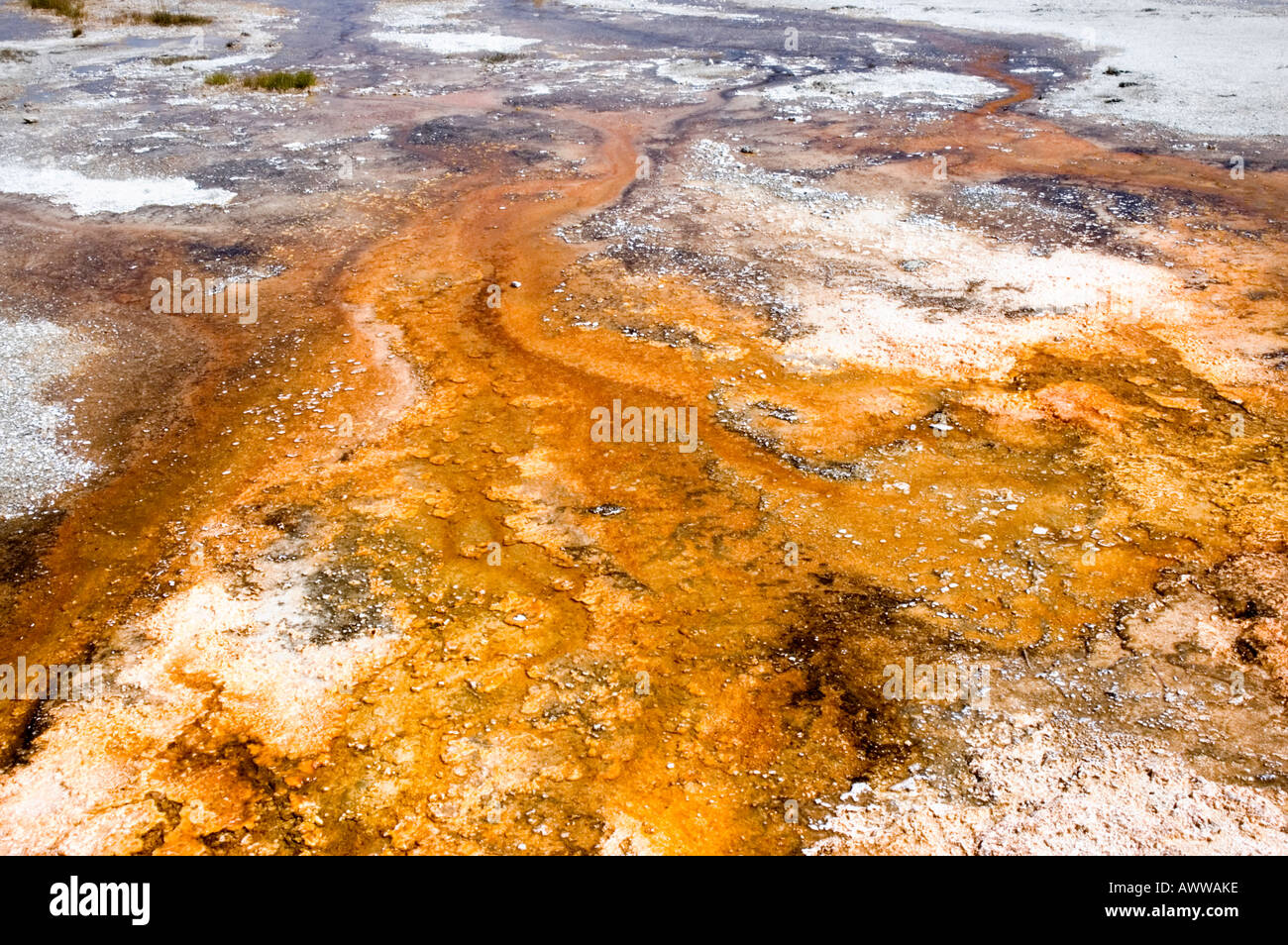 Mineral deposits Yellowstone National Park USA Stock Photo - Alamy