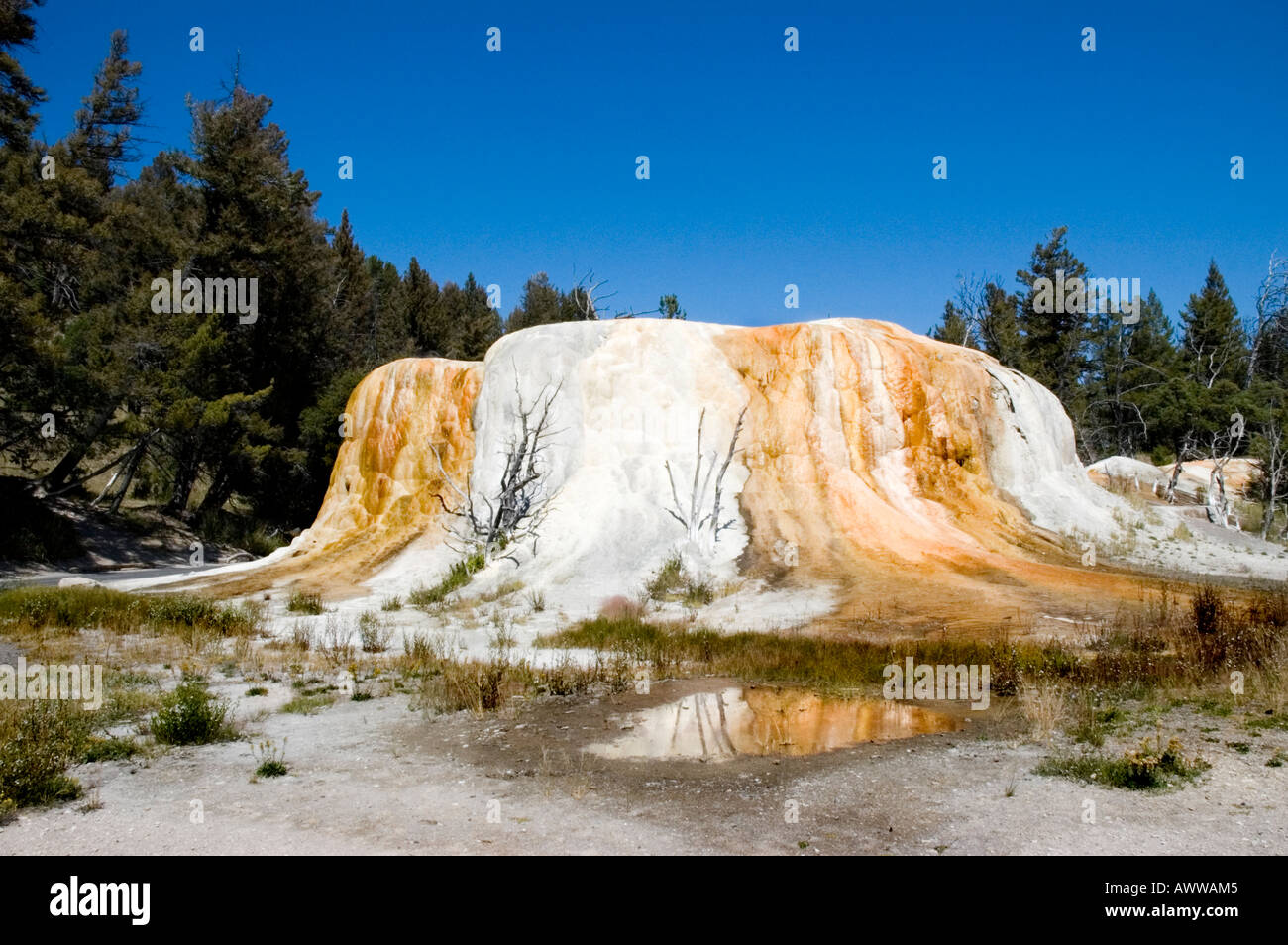 Hot spring mound hi-res stock photography and images - Alamy