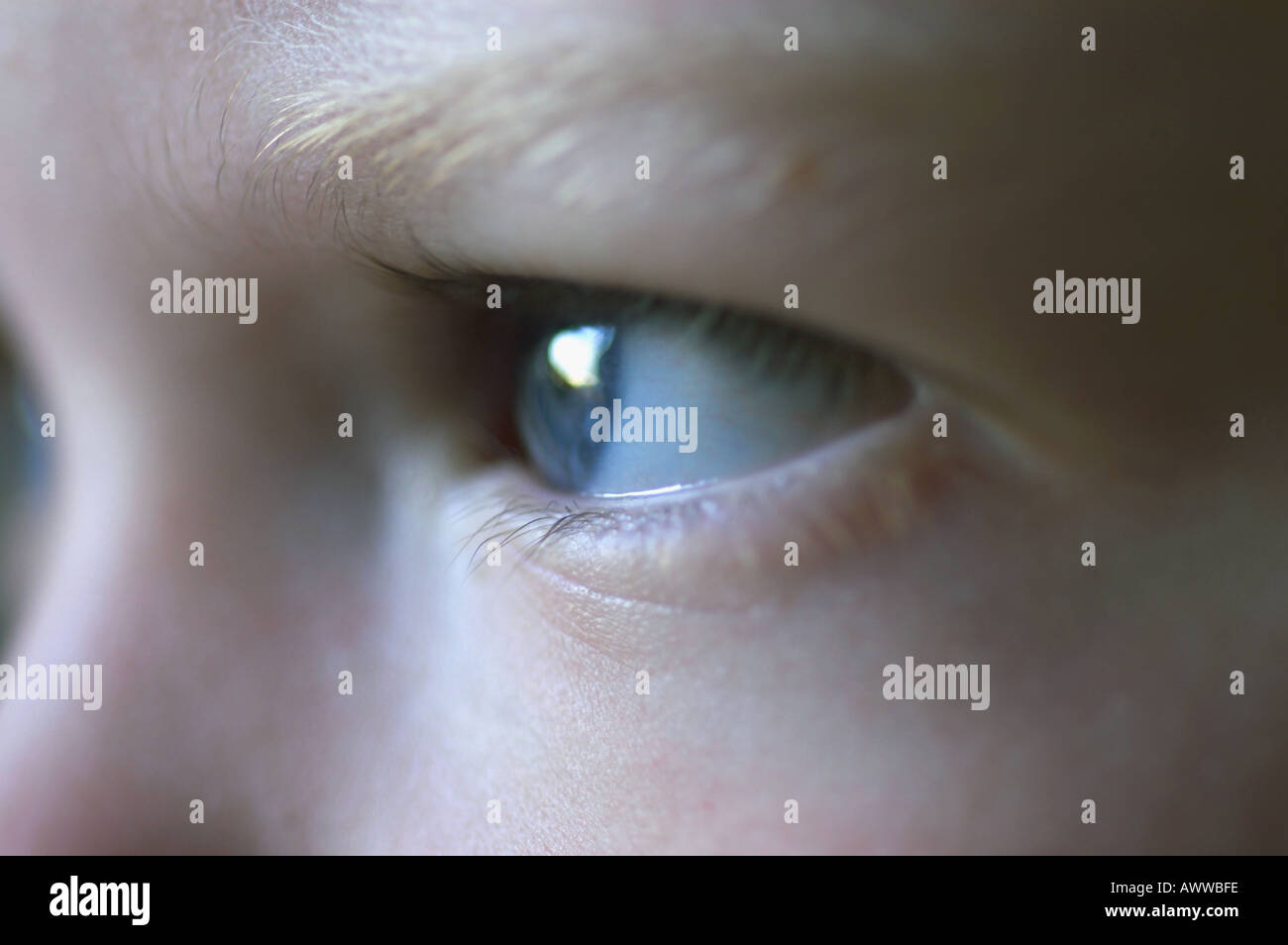 eye of young boy Stock Photo - Alamy