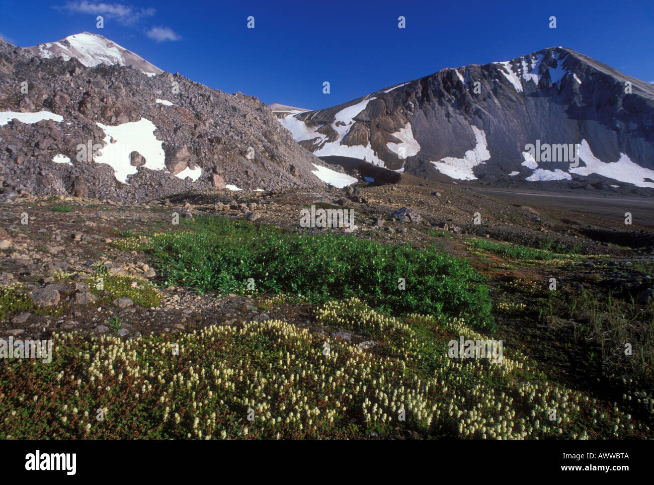 Novarupta dome hi-res stock photography and images - Alamy