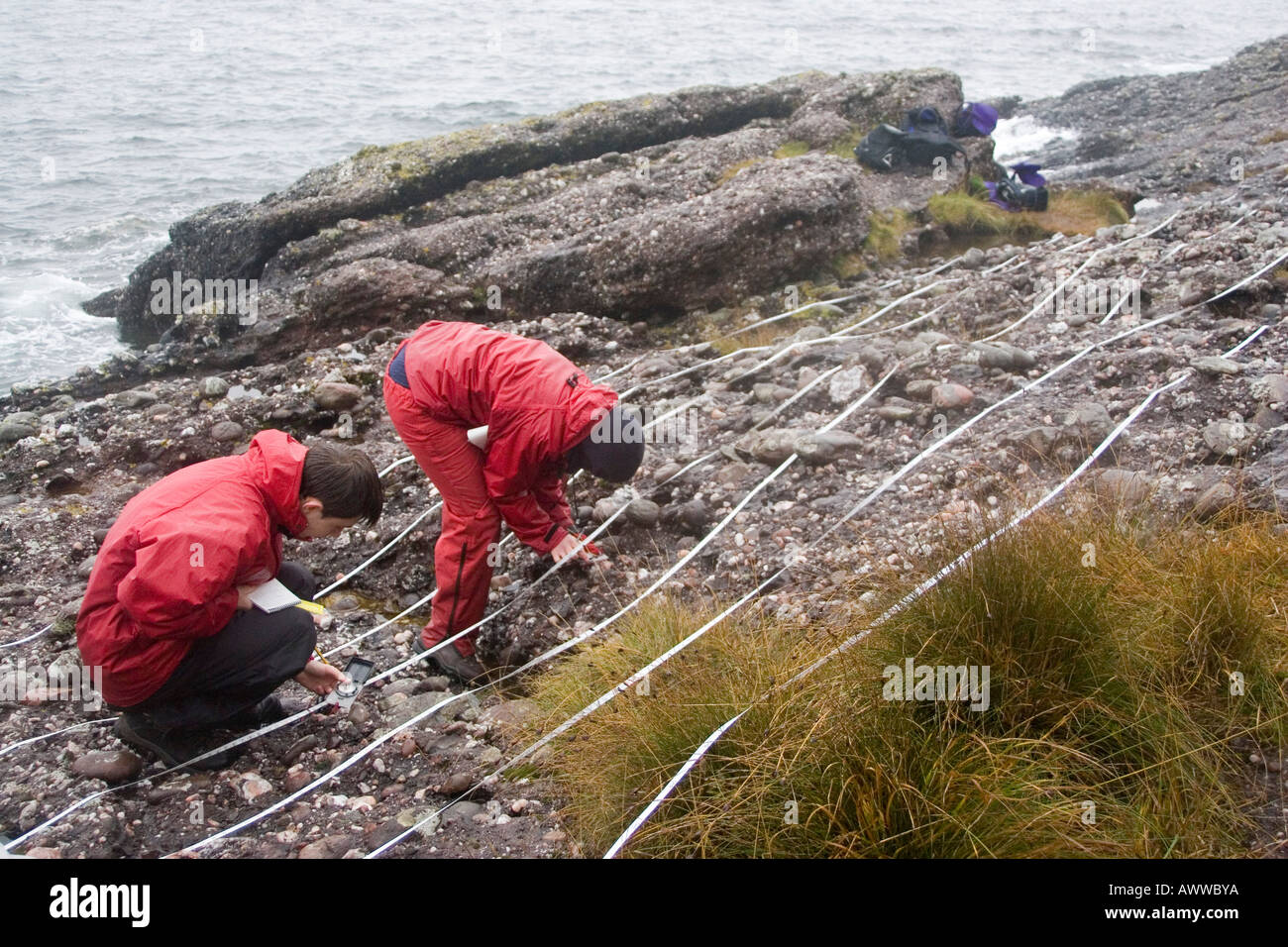 Systematic sampling hi-res stock photography and images - Alamy