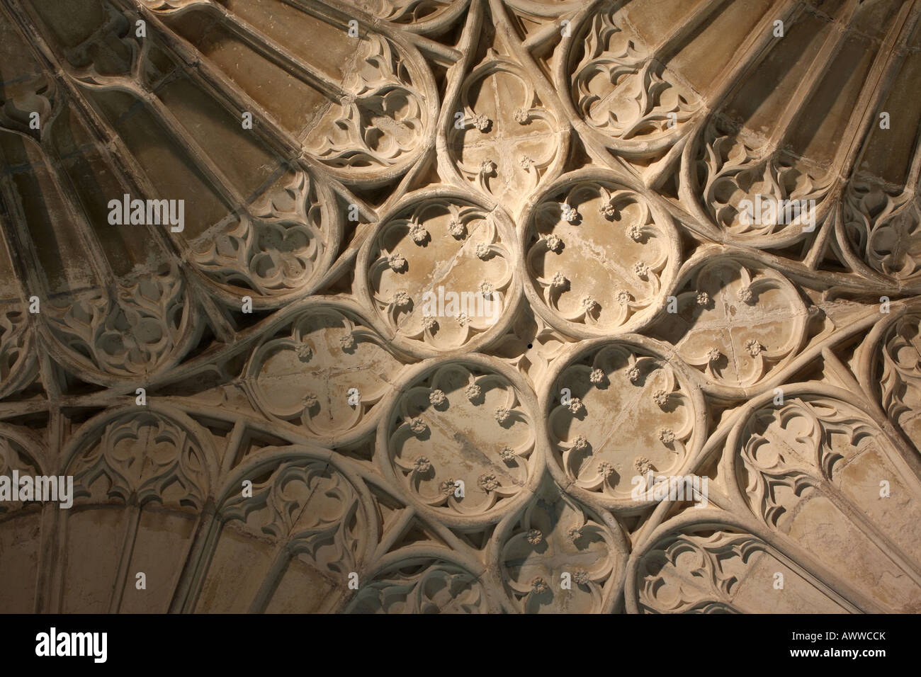 Ceiling detail at Gloucester Cathedral Cloister, England Stock Photo ...