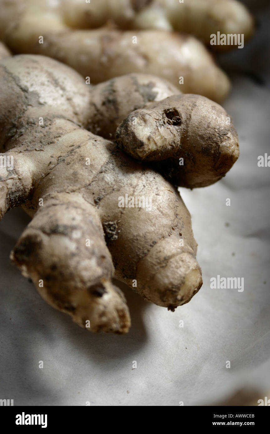 closeup of old ginger young ginger in the background vertical root of ...
