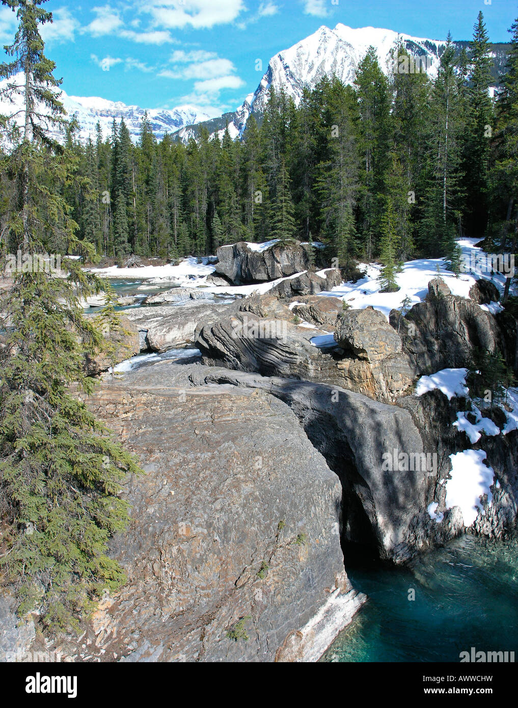 Kicking Horse River British Columbia Stock Photo - Alamy