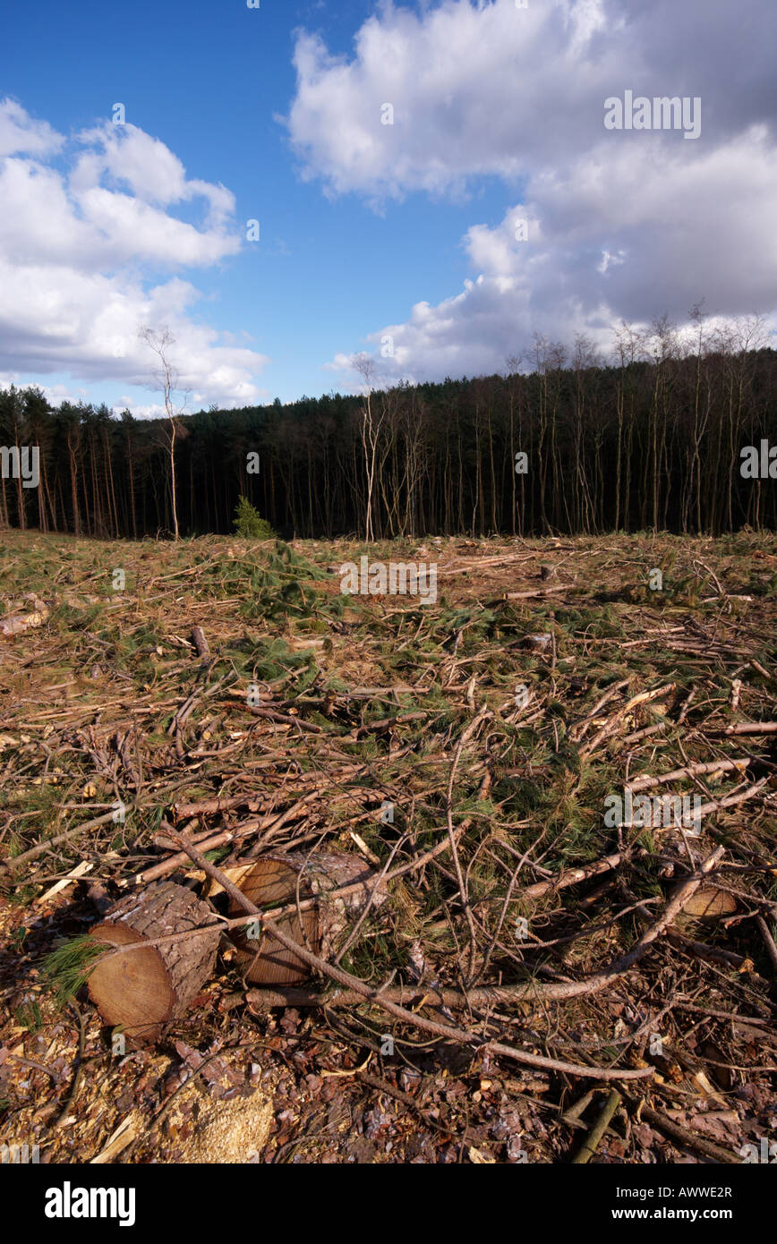 Landscape following deforestation in Derbyshire England Stock Photo - Alamy