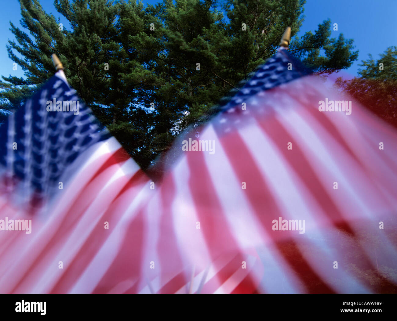 American Flag blowing in the wind usa Stock Photo - Alamy