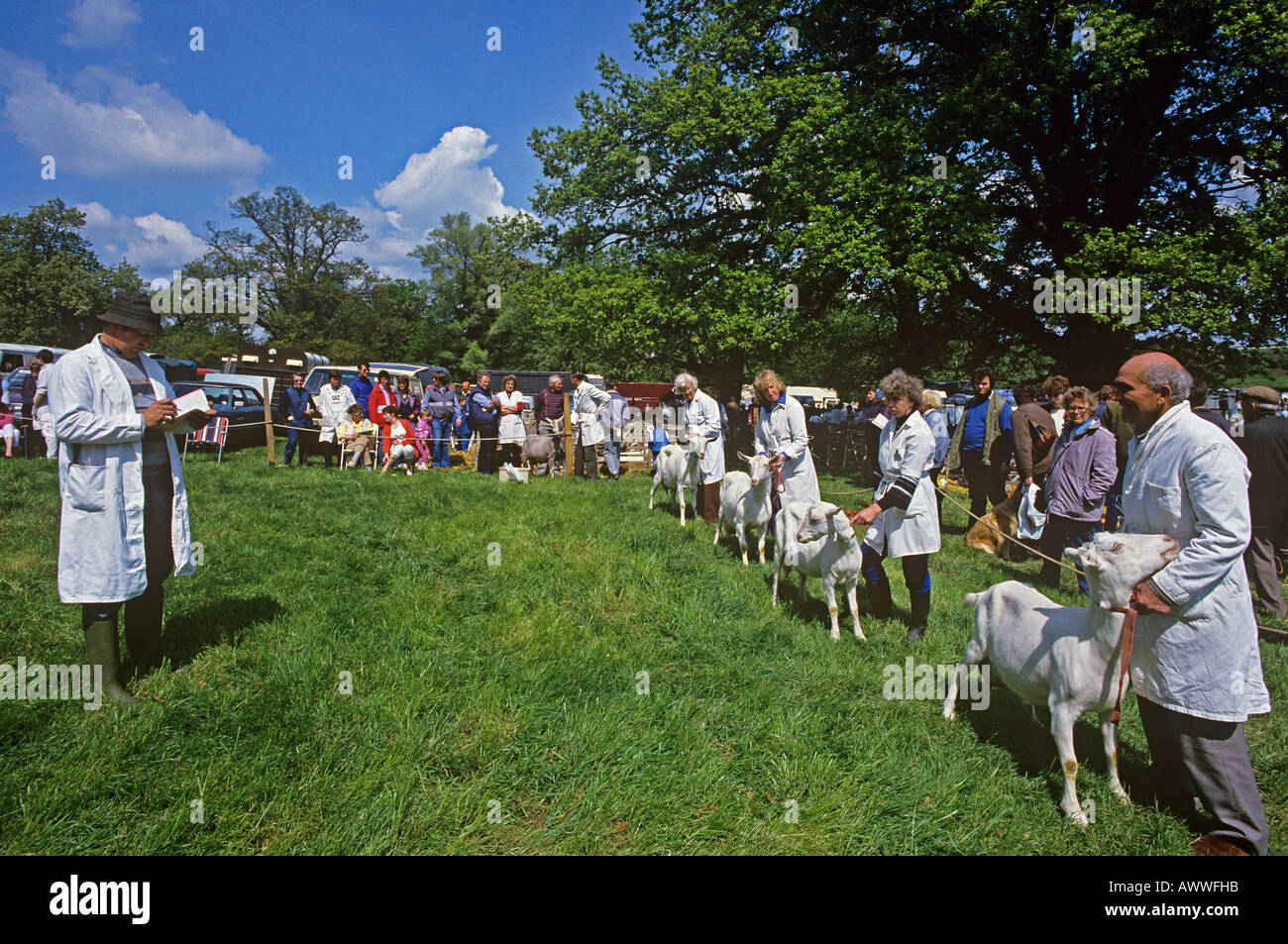 finalists presenting their prize goats for judging at the annual ...