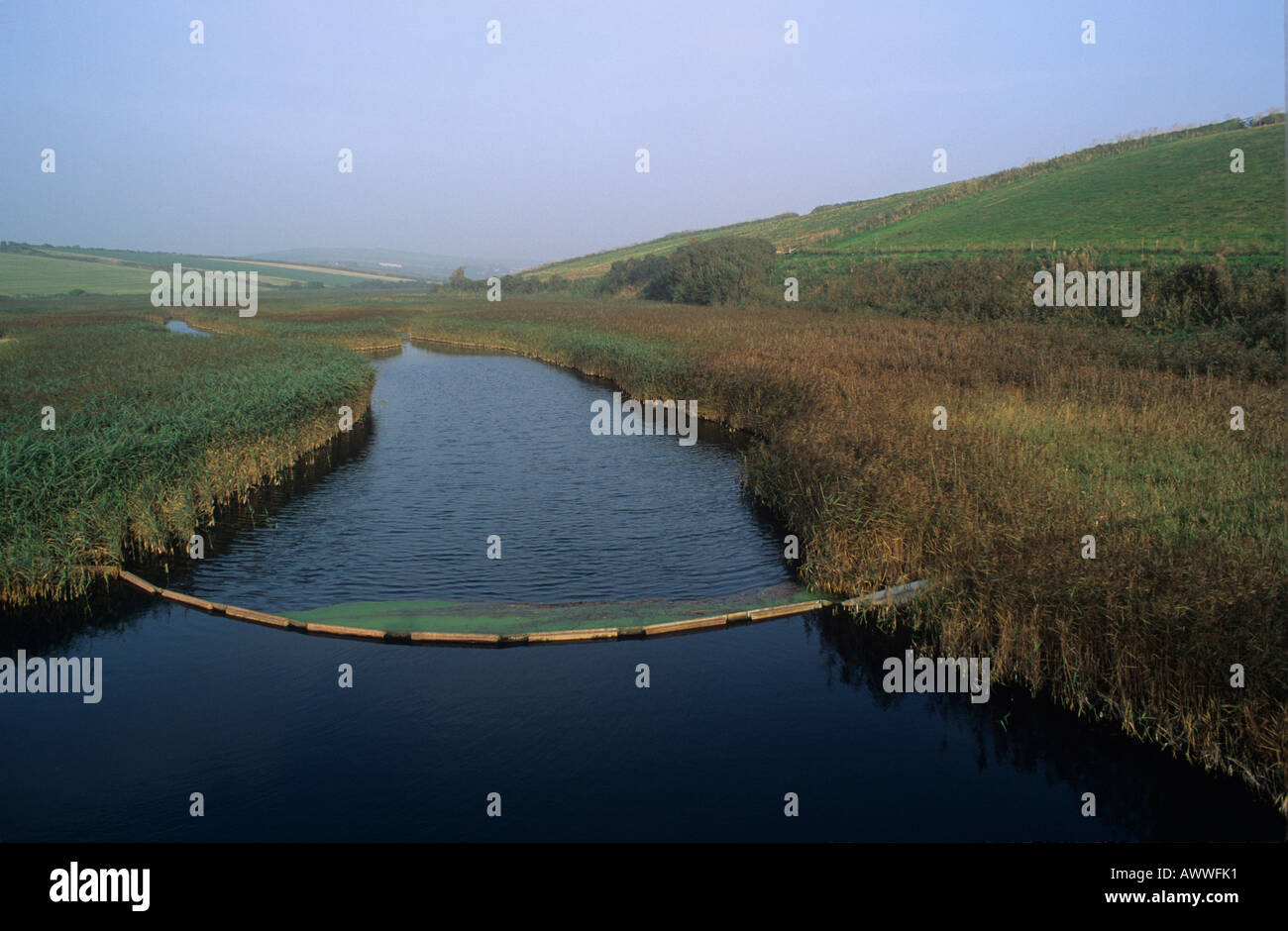 Floating boom preventing green algae polution from reaching the sea on ...