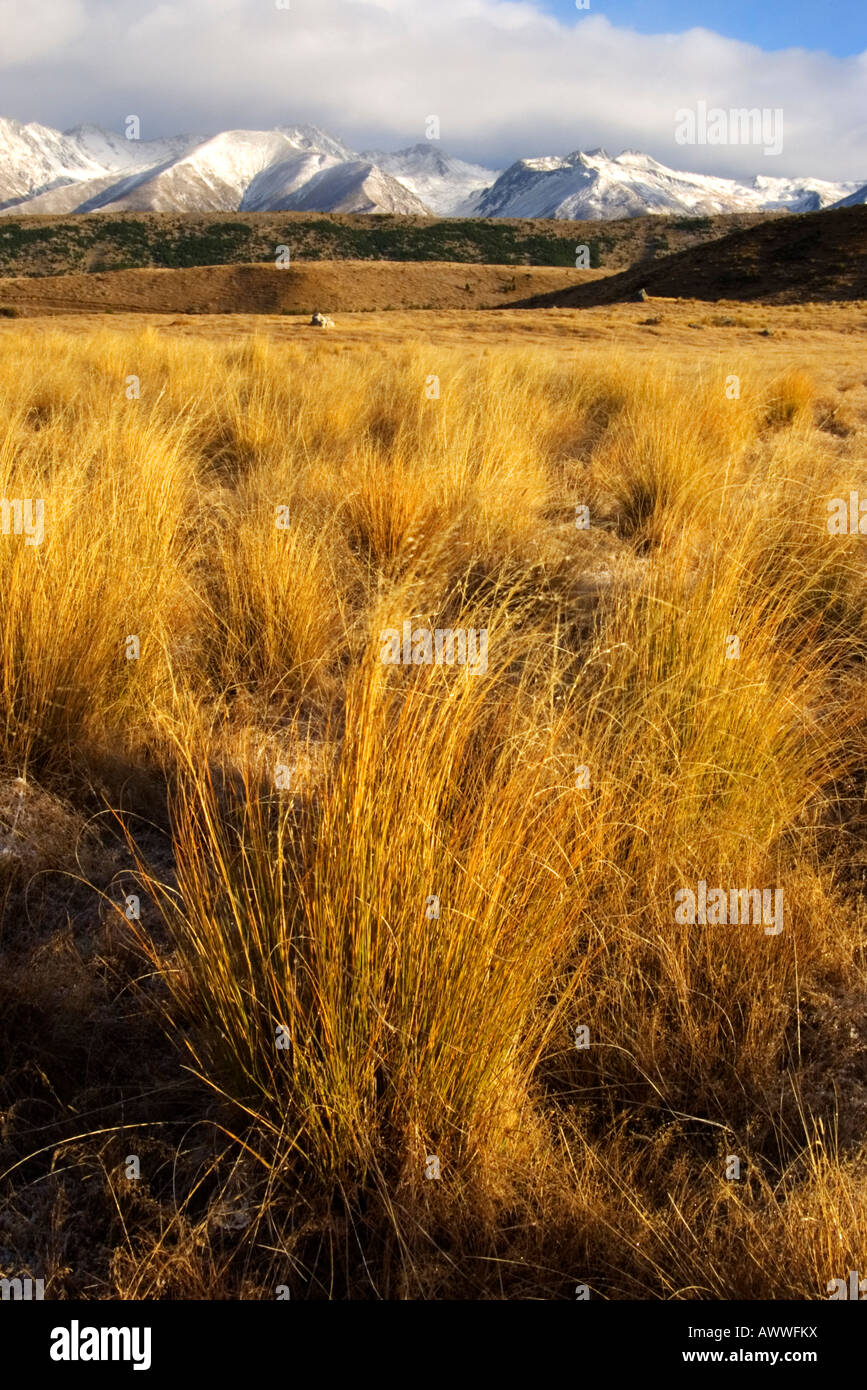 High Country Scenery