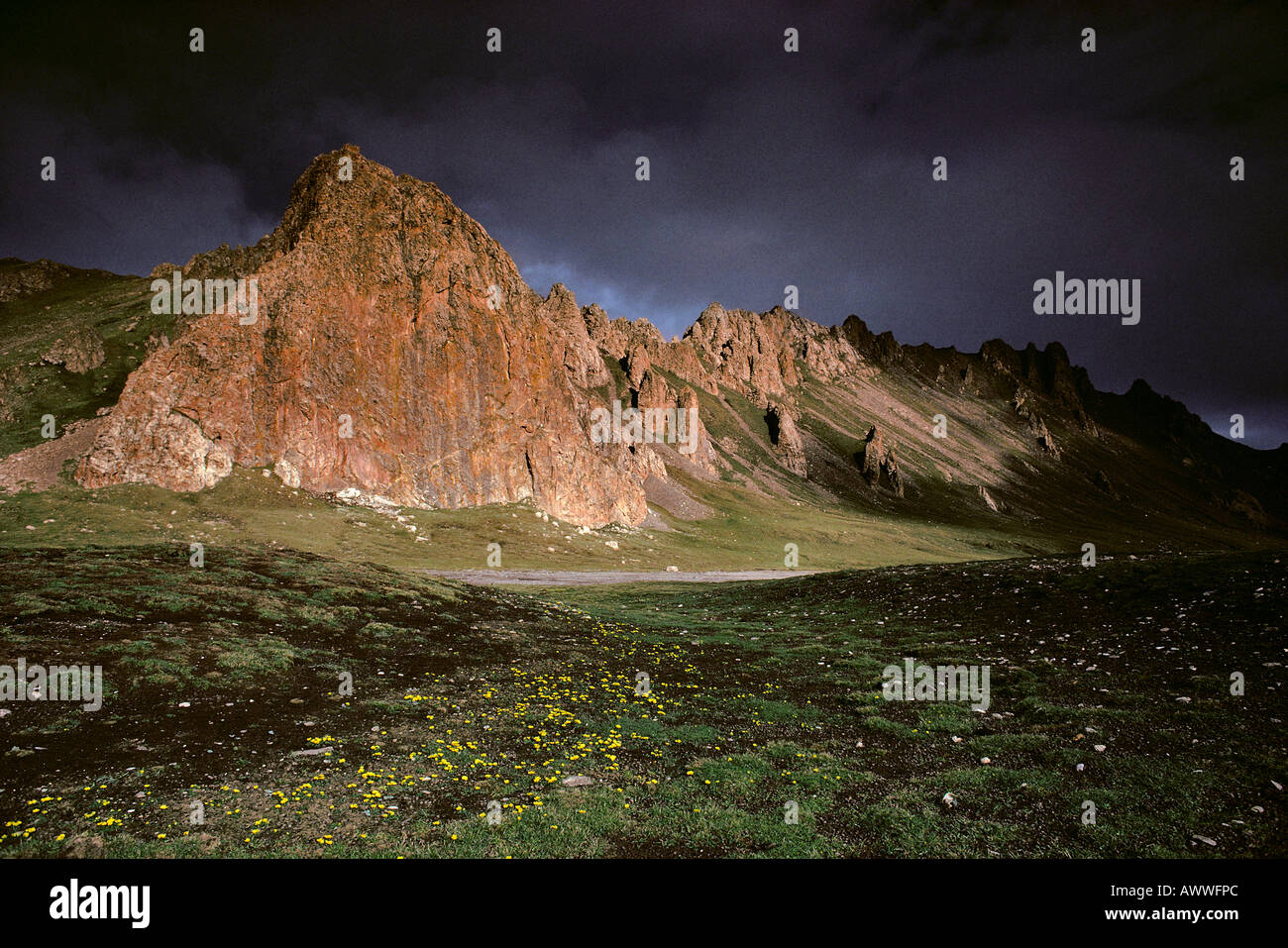 Dark towers 1981 hi-res stock photography and images - Alamy