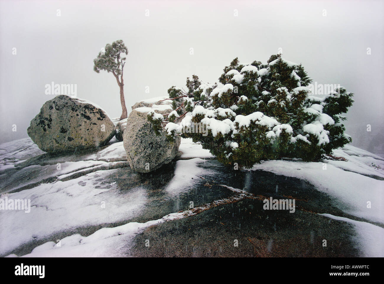 1972 california hi-res stock photography and images - Alamy