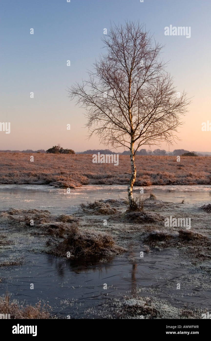 Shatterford hi-res stock photography and images - Alamy