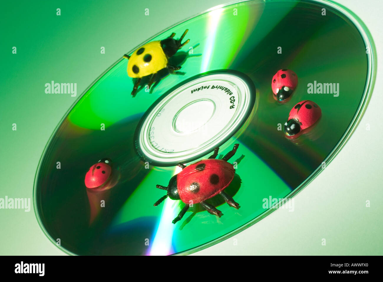 Software bugs hi-res stock photography and images - Alamy