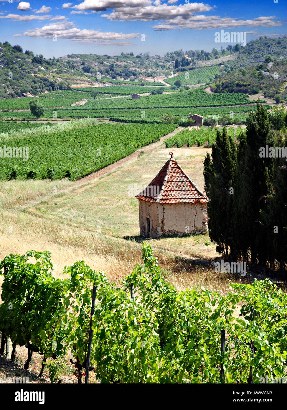 Saint chinian hi-res stock photography and images - Alamy
