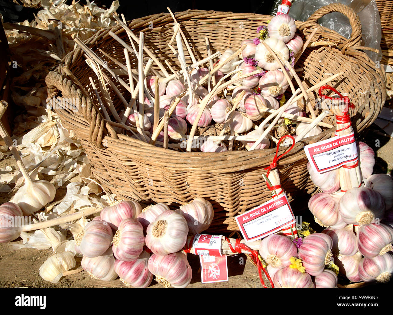 Garlic in south of France Stock Photo - Alamy