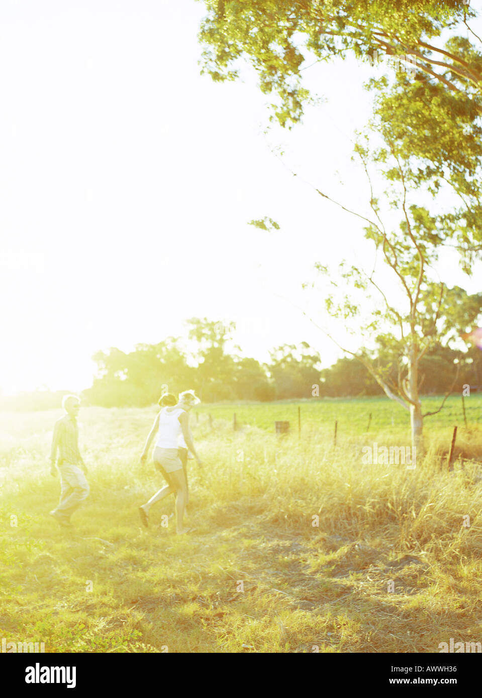 People walking in field Stock Photo - Alamy