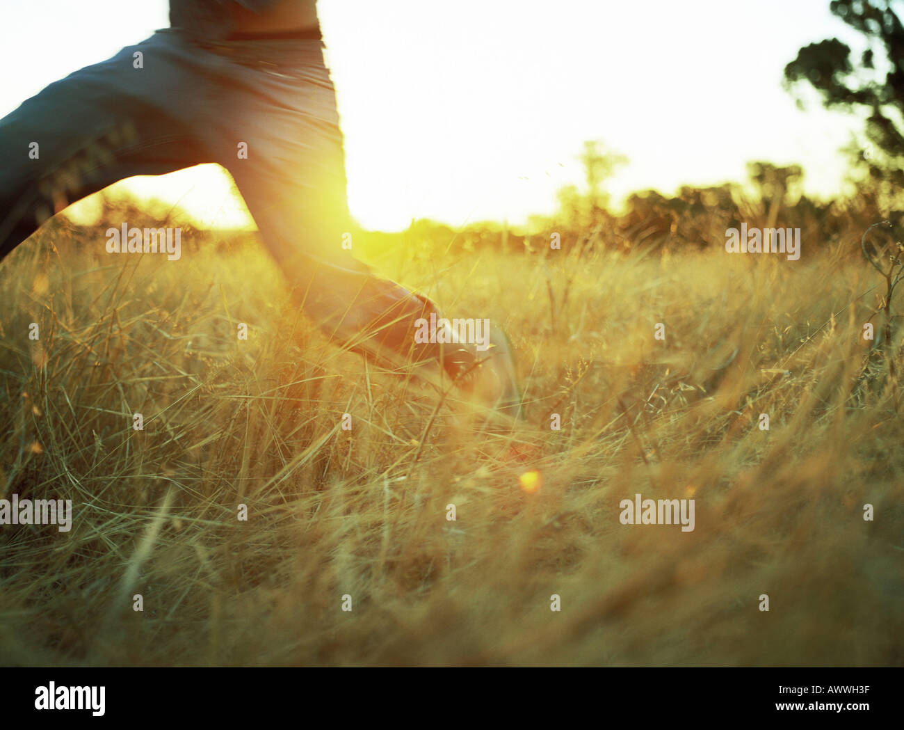 Photoalto hi-res stock photography and images - Alamy