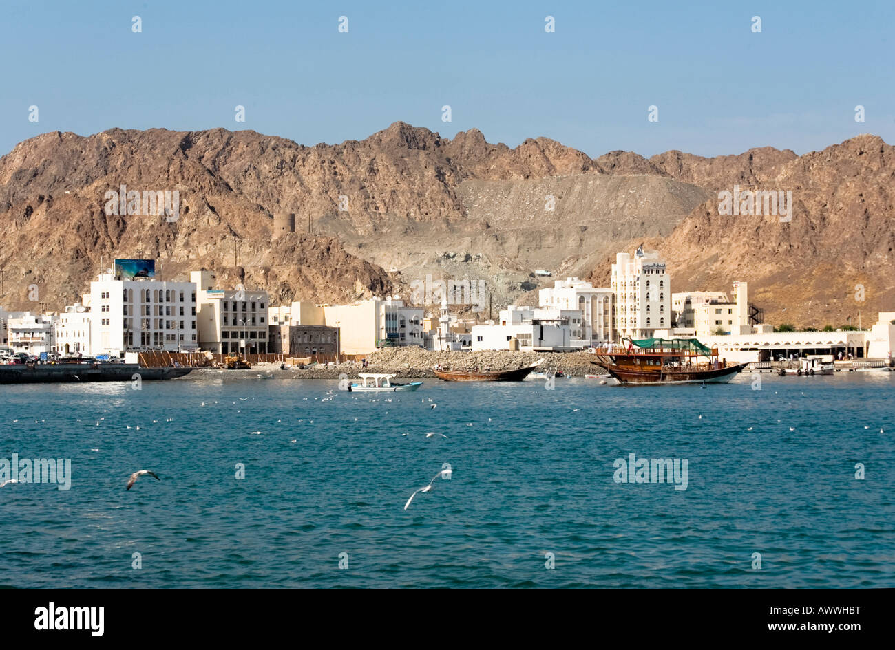 View across Mutrah harbor, Muscat, Oman, twoard new hotel and apartment ...