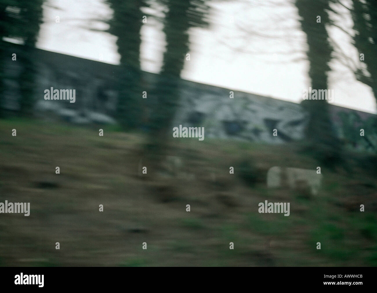 Trees in front of wall, blurred Stock Photo - Alamy