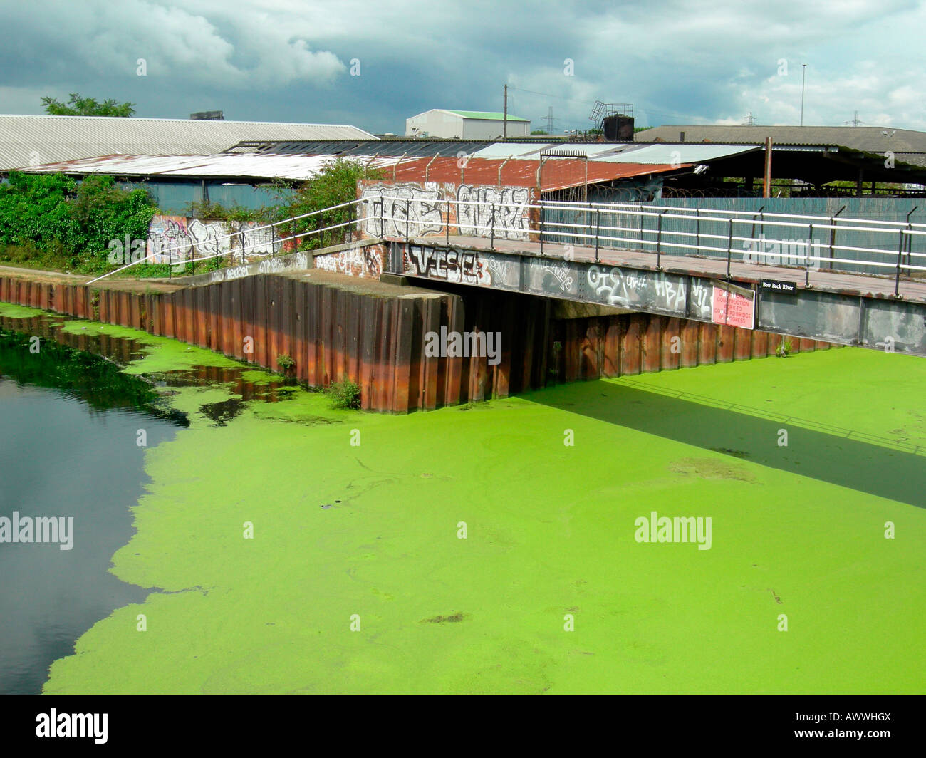 green sludge east end London UK Stock Photo - Alamy