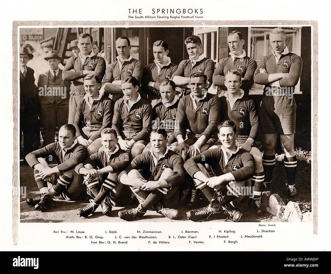 Springbok rugby team photo hi-res stock photography and images - Alamy