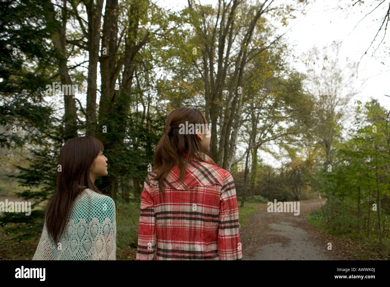 Two young women in park, rear view Stock Photo - Alamy