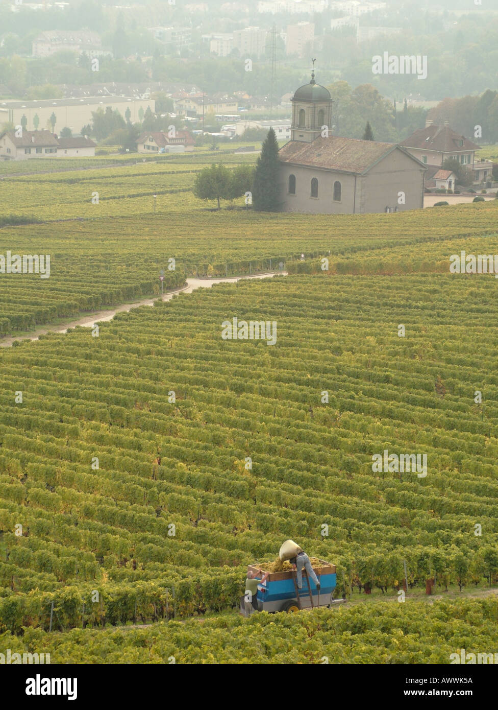 Mont sur rolle hi-res stock photography and images - Alamy