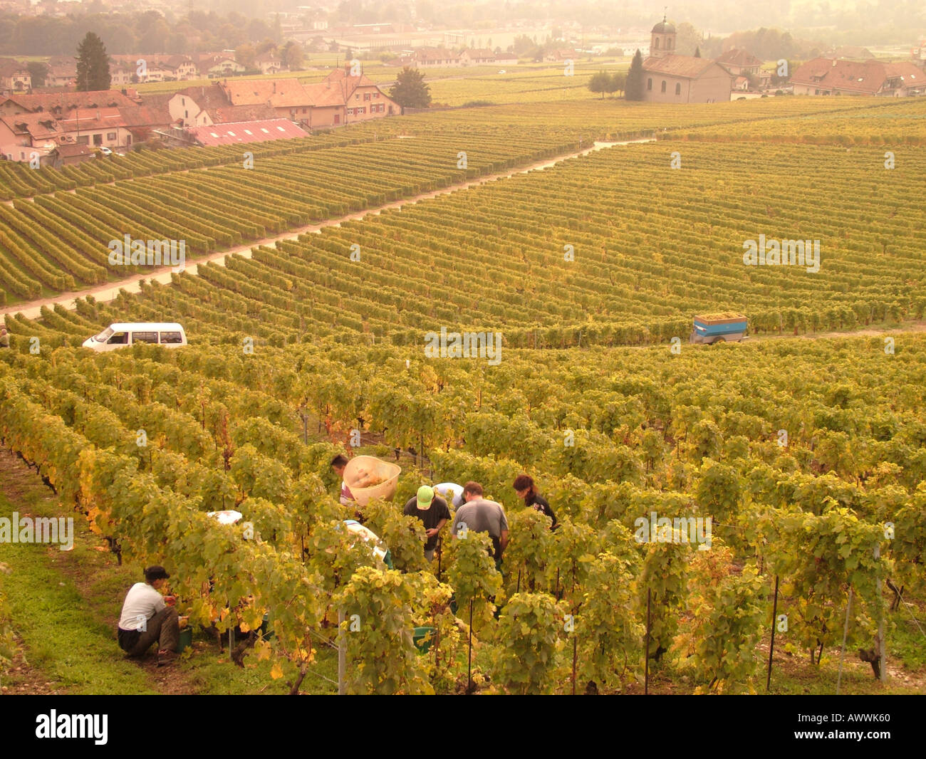 Mont sur rolle hi-res stock photography and images - Alamy