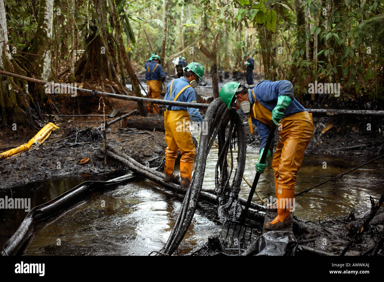 Cleaning up an oil spill in the Amazon rainforest Stock Photo - Alamy