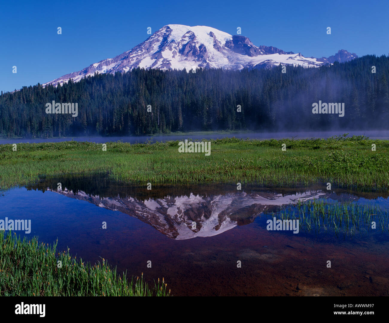 Mt Rainier, Reflection Lake, Mt Rainier National Park, Washington, USA ...