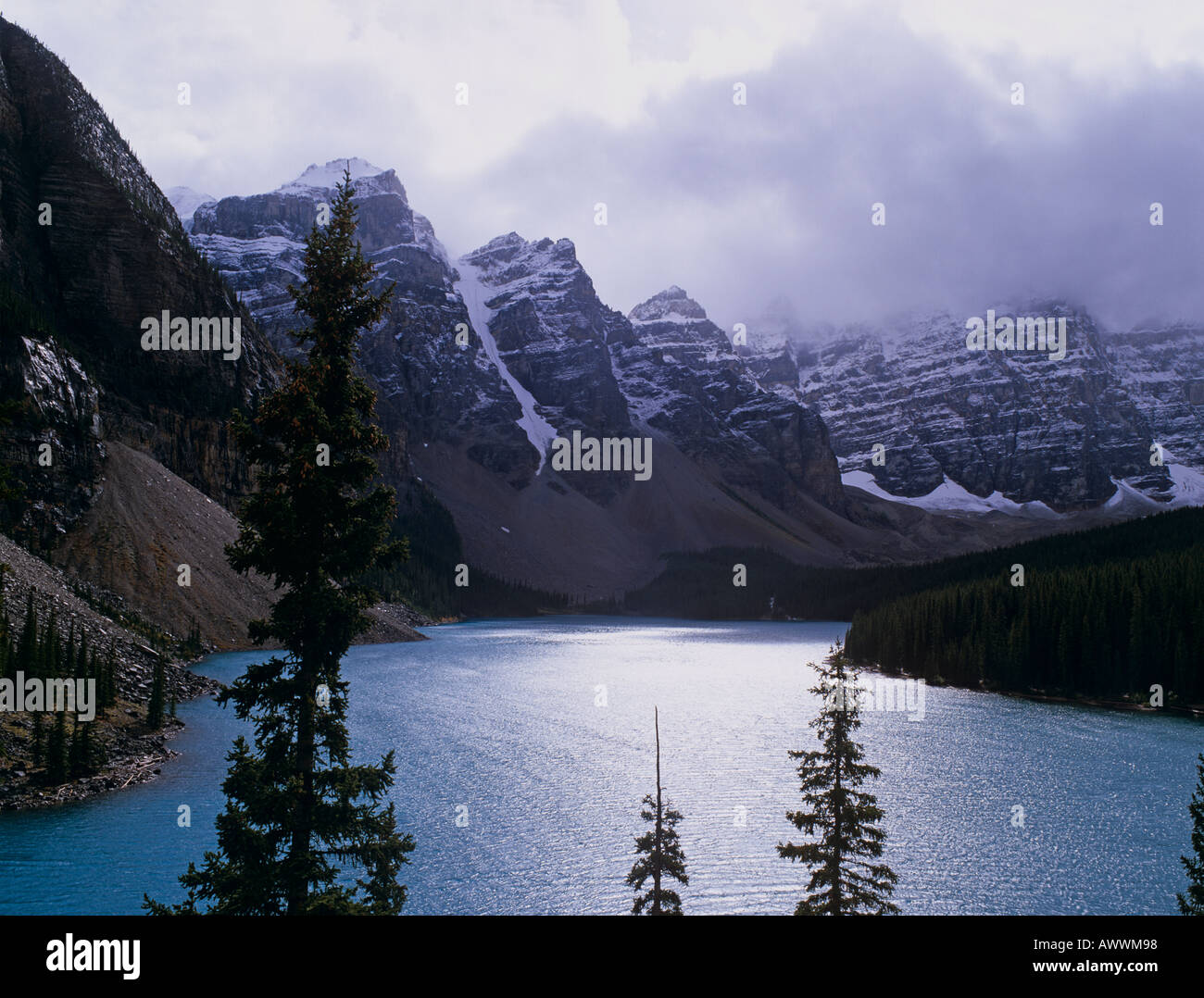 Backlit Mountain Hemlocks, Maligne Lake, Rocky Mountains, Banff ...