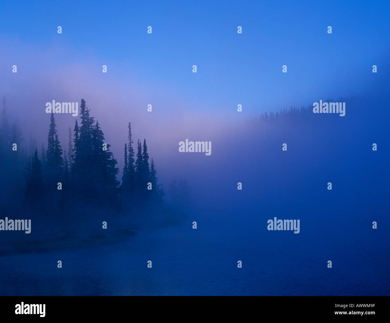 Dawn , mist with temperate rainforest Reflection Lake Mt Ranier ...