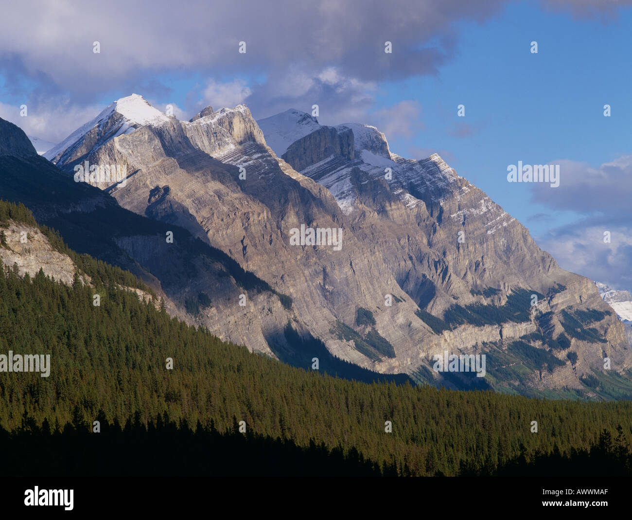Rocky Mountains with distinct tree line, Banff National Park, Alberta ...
