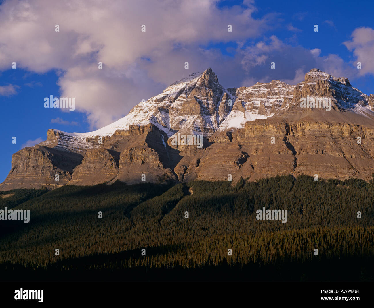 Rocky Mountains with distinct tree line, Banff National Park, Alberta ...
