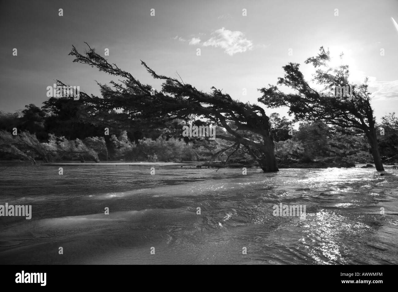 Mekong river nature Black and White Stock Photos & Images - Alamy