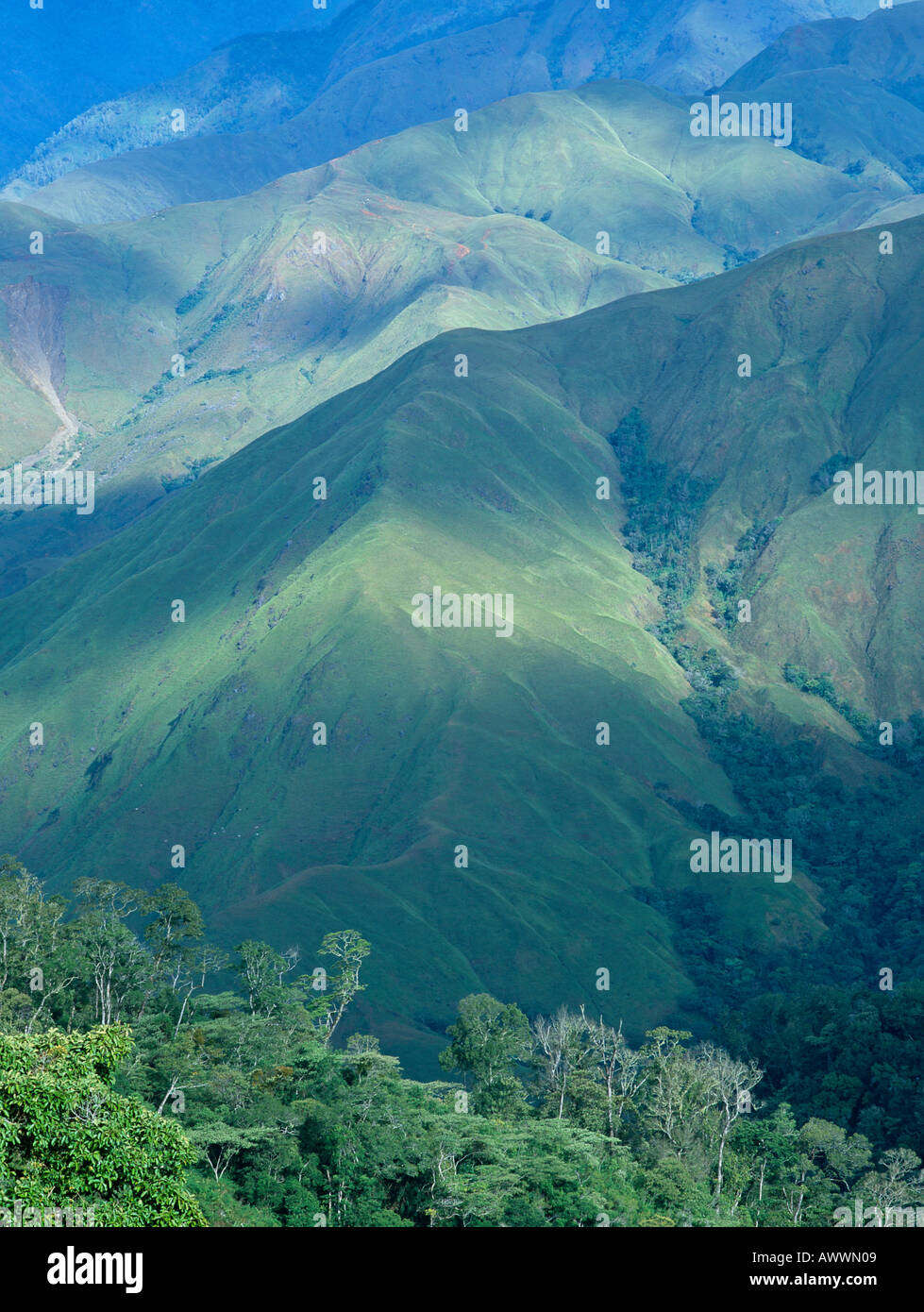 Comparison of deforested mountain and protected Durika conservation ...