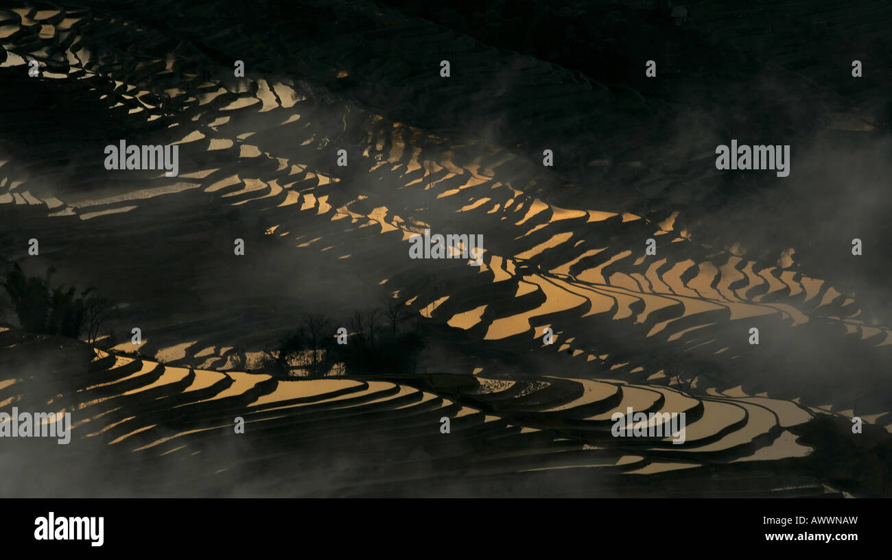 Rice Terraces at Sunset Stock Photo - Alamy