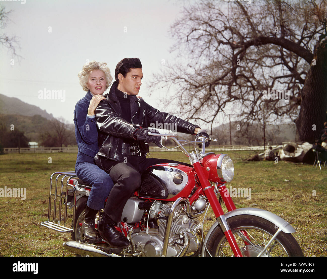 Elvis roustabout hi-res stock photography and images - Alamy