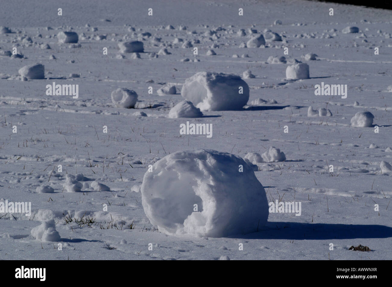 snow roller winter Stock Photo - Alamy